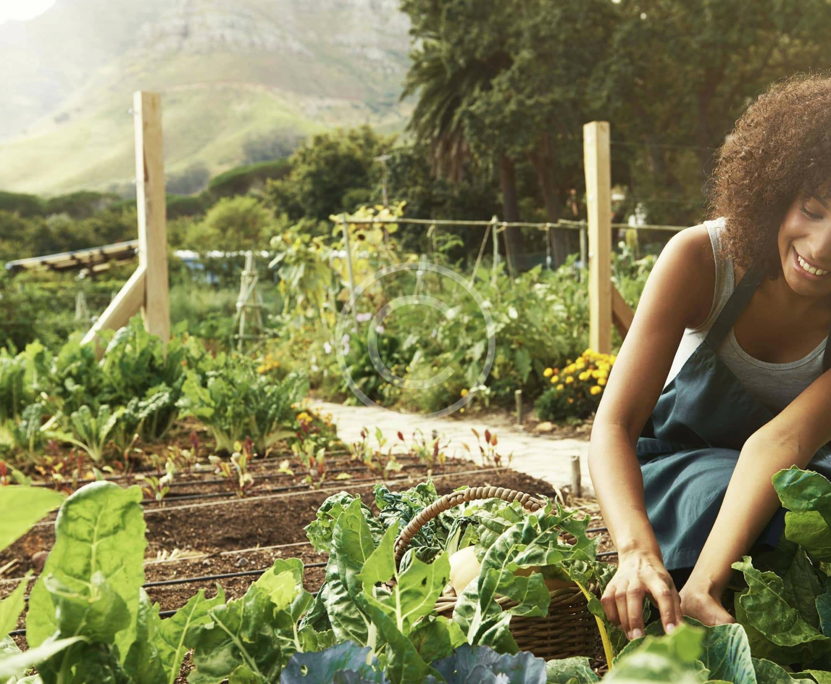Growing Up Healthy and Strong – Simply African Foods